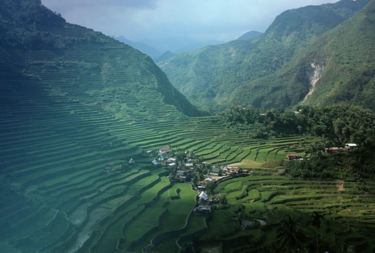 Bob Tebow Evangelistic Association